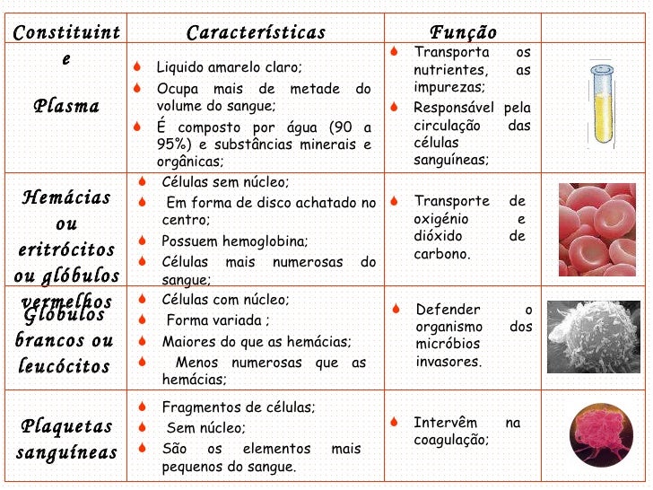 Constituintes Do Sangue