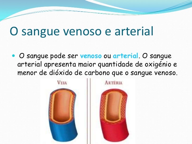 Constituição e função do sangue c n
