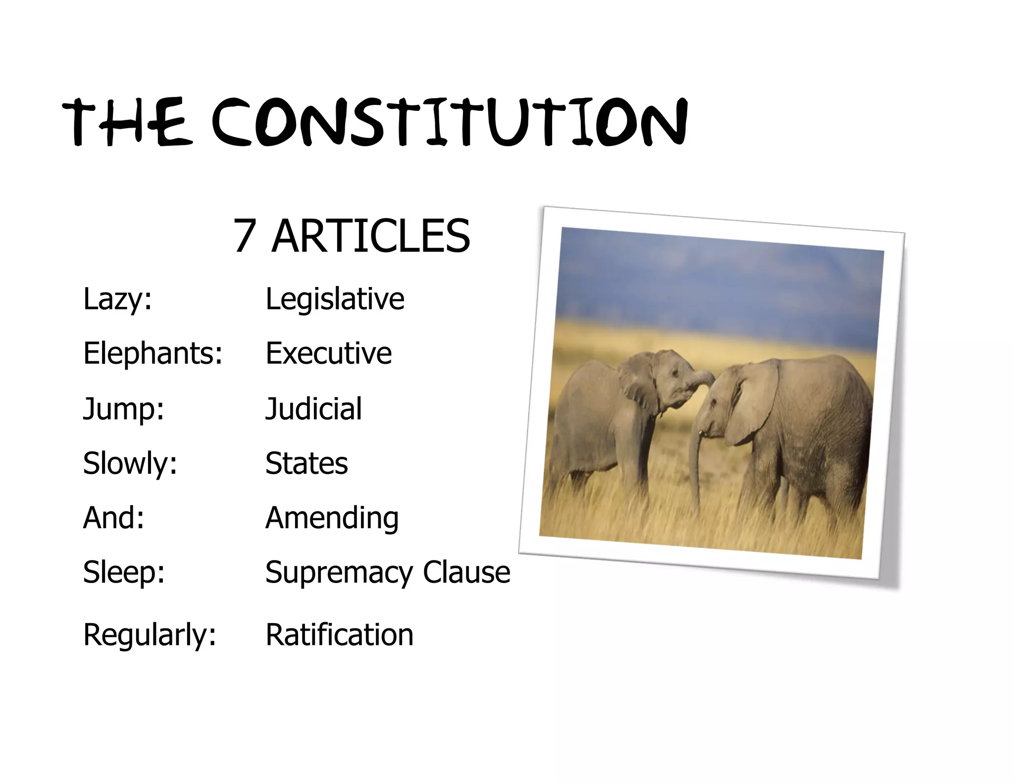 Constitution 2010 Student Handout | PDF