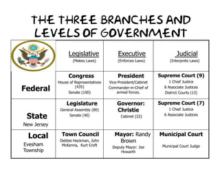 Constitution 2010 Student Handout | PDF
