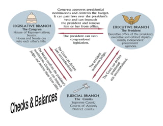 Constitution 2010 Student Handout | PDF