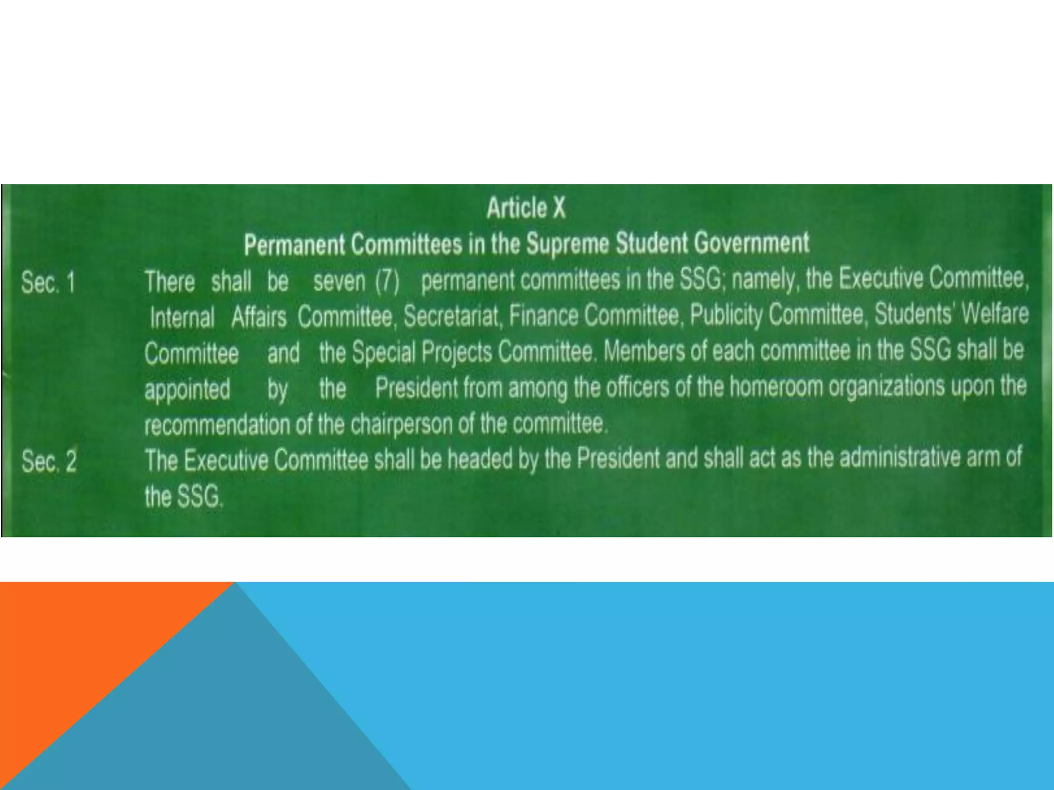 Student Government Constitution and by laws | PDF