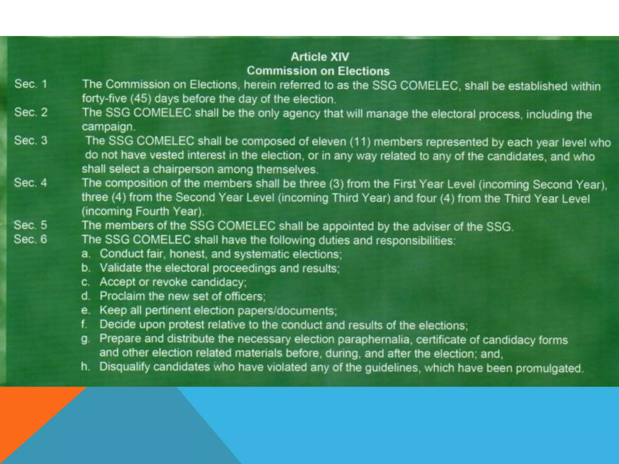 Student Government Constitution and by laws | PDF