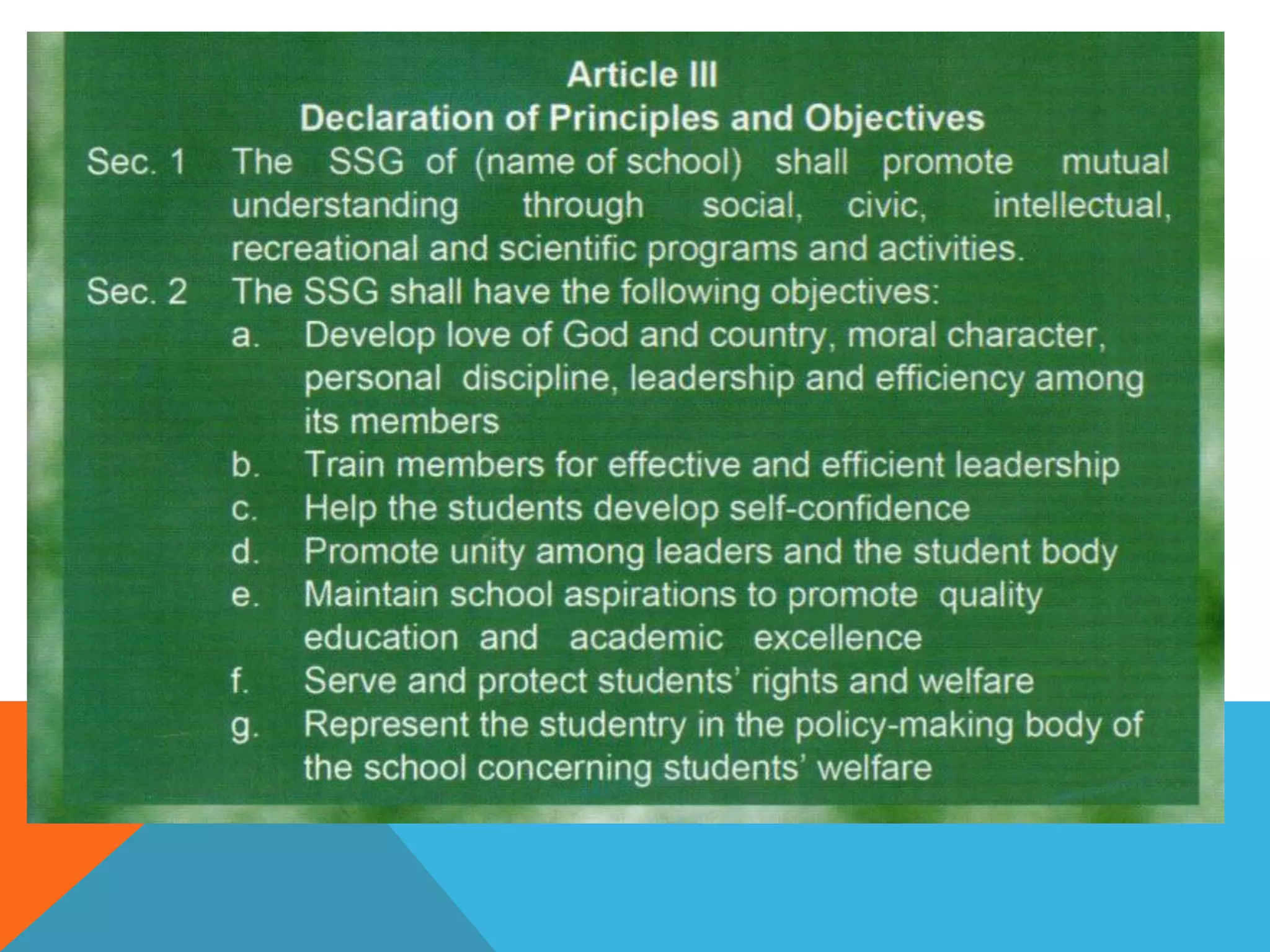 Student Government Constitution and by laws | PDF