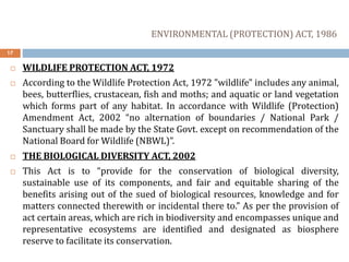 The Indian Constitution & Environment | PPTX