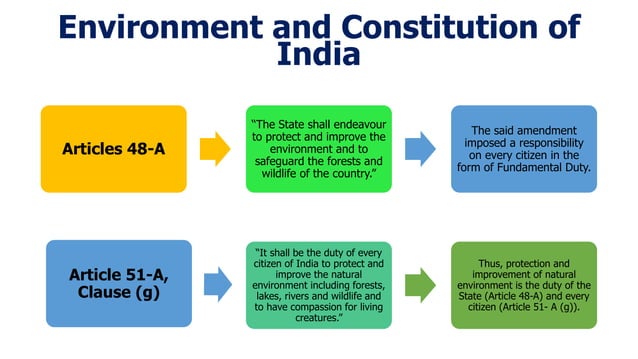 CONSTITUTIONAL PROVISIONS FOR THE PROTECTION OF ENVIRONMENT | PPTX