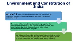 CONSTITUTIONAL PROVISIONS FOR THE PROTECTION OF ENVIRONMENT | PPTX