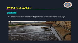 CONST OF SEWERS SSSSSSSSSSSSSSSSSSS.pptx