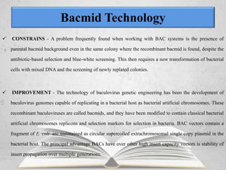 Constrains and genetic improvements in baculoviruses | PPTX ...
