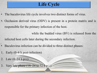Constrains and genetic improvements in baculoviruses | PPTX ...