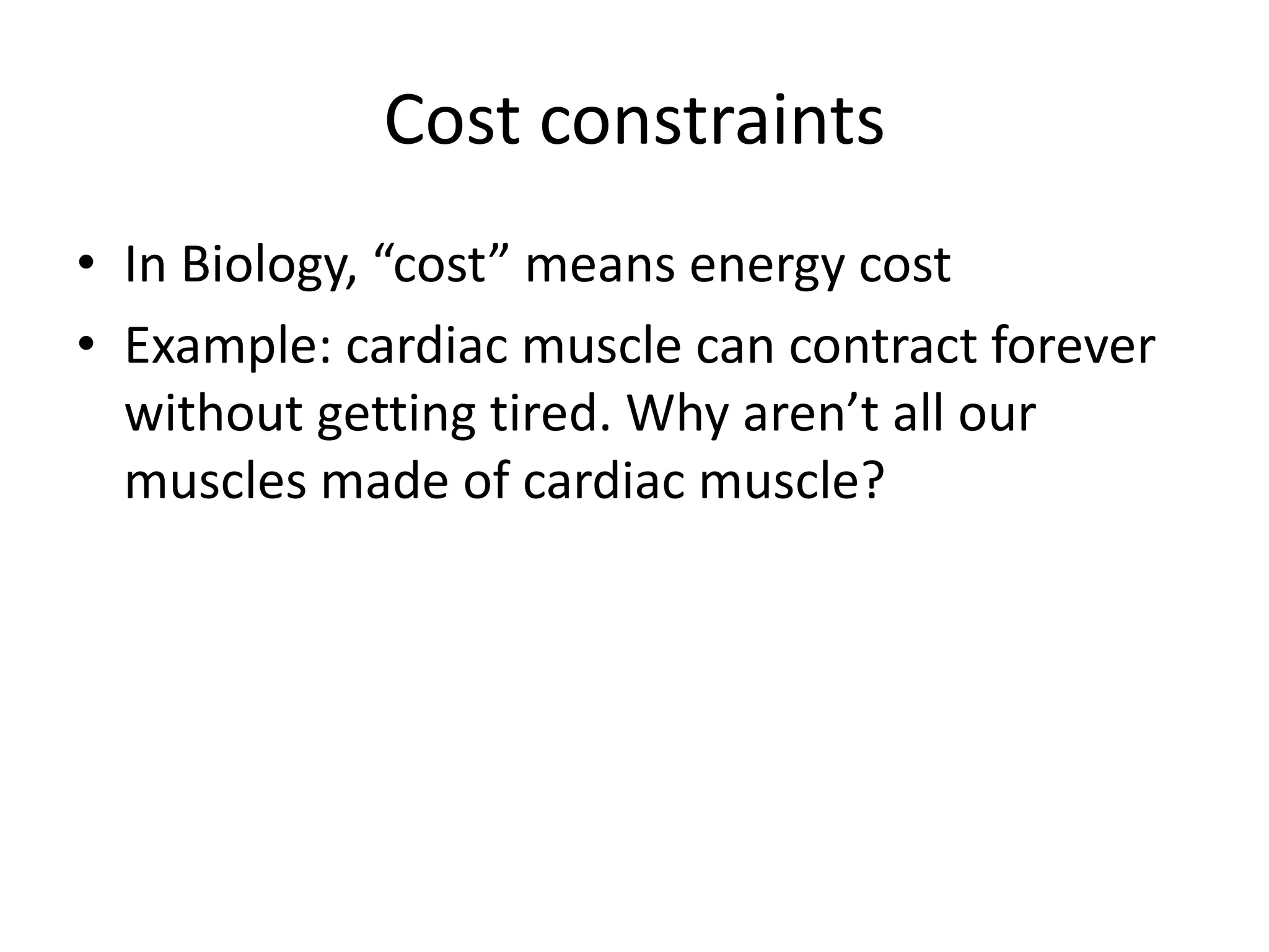 Constraints | PPT