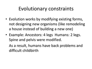 Constraints | PPTX