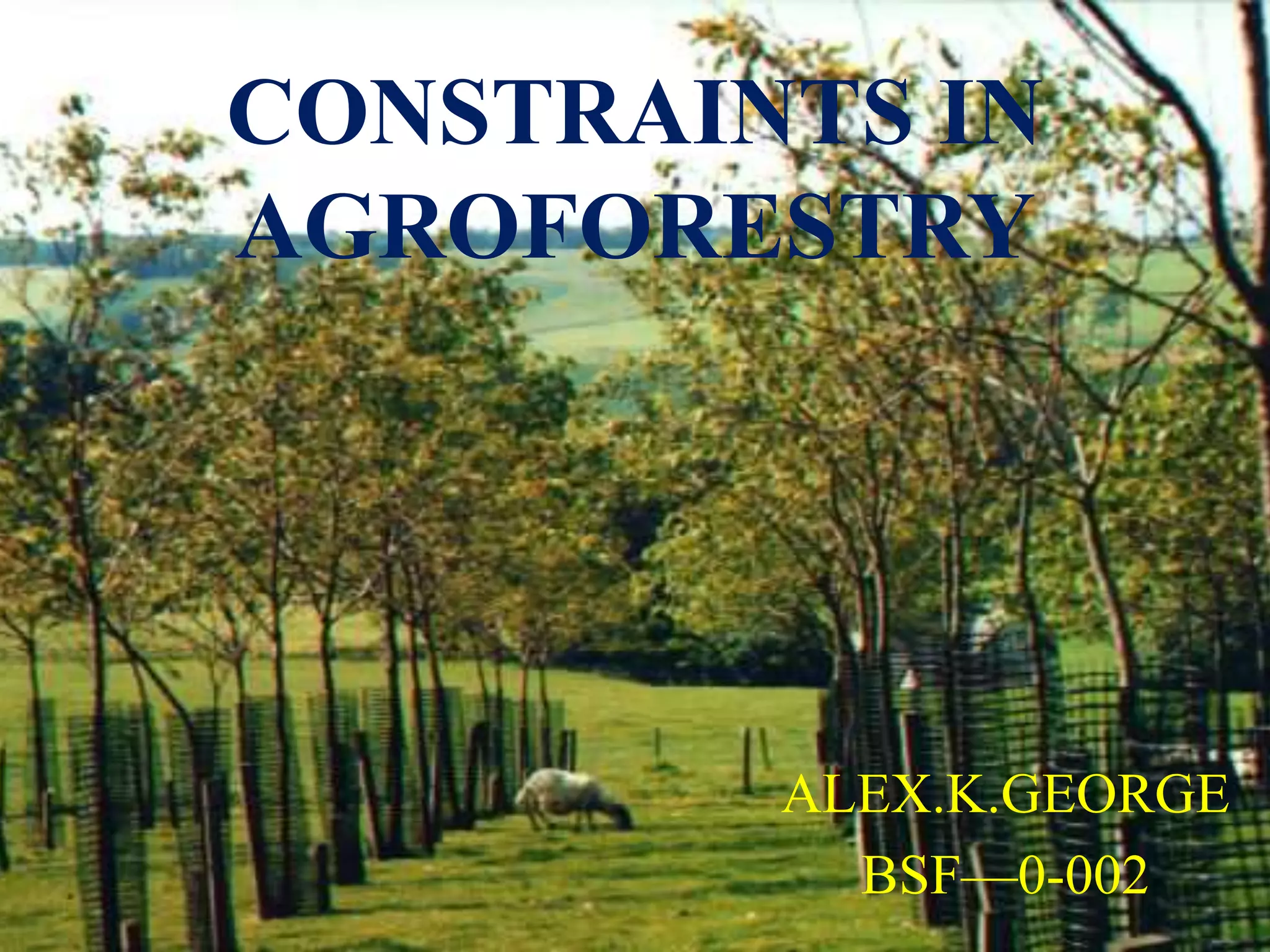 Constraints in agroforestry | PPTX