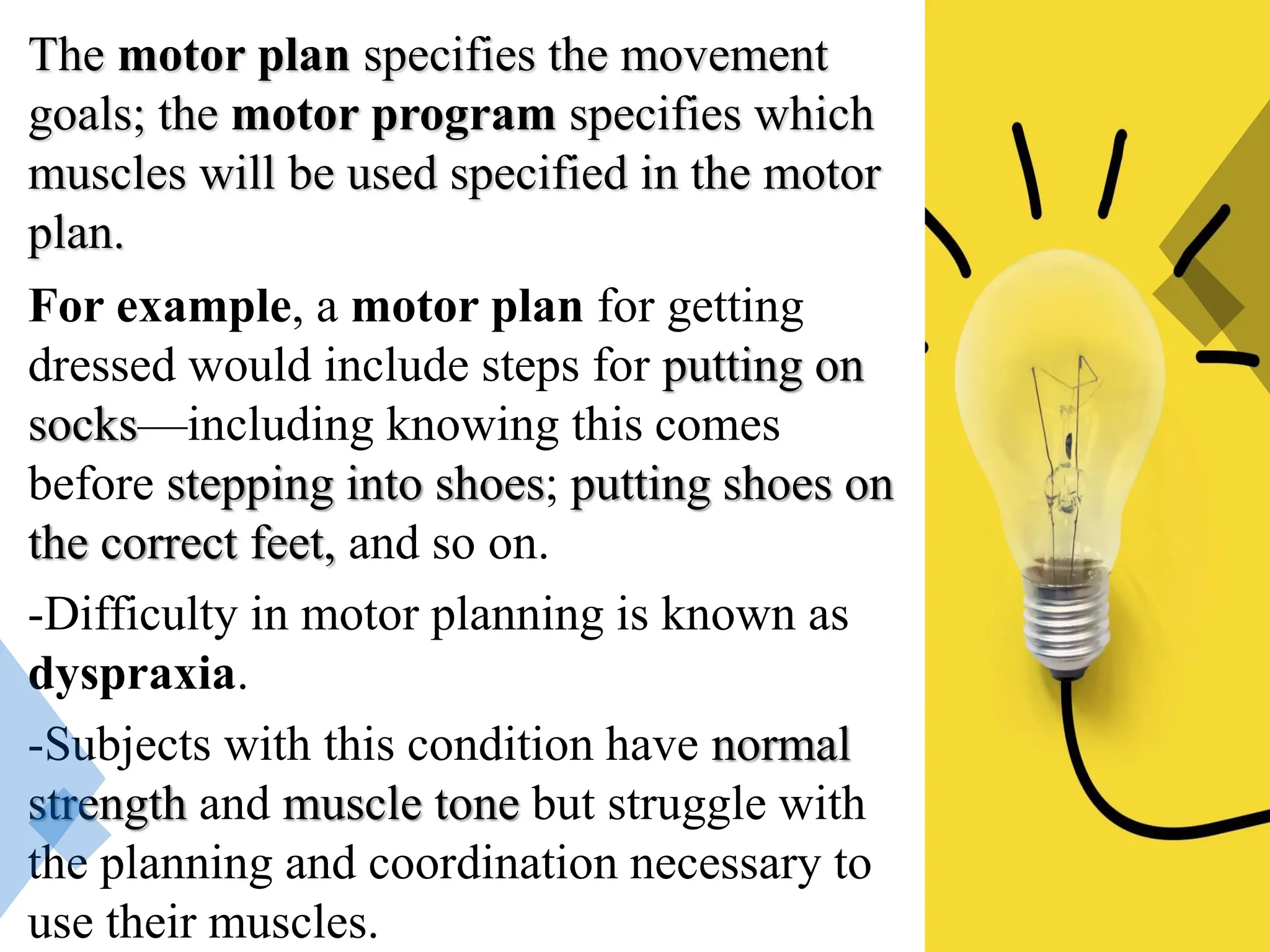 Constraints on motor motor control ..pdf