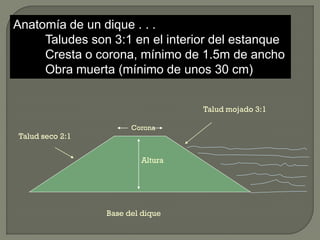 Construcción de estanques | PDF
