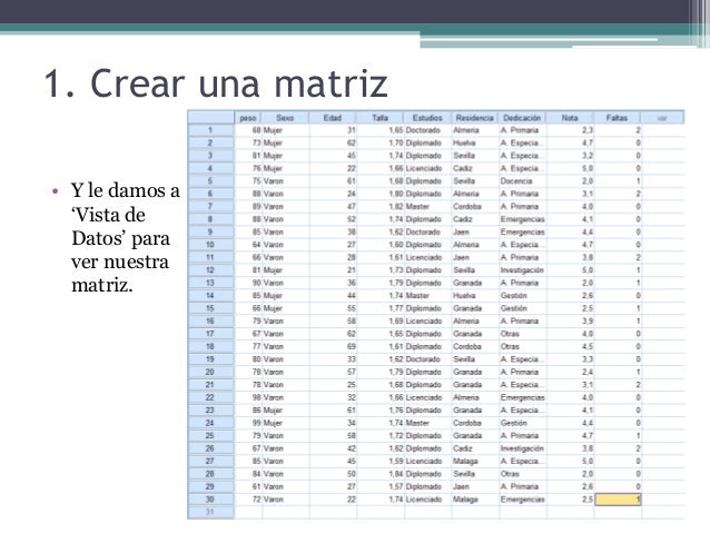 Construcción de una matriz de datos en pasw