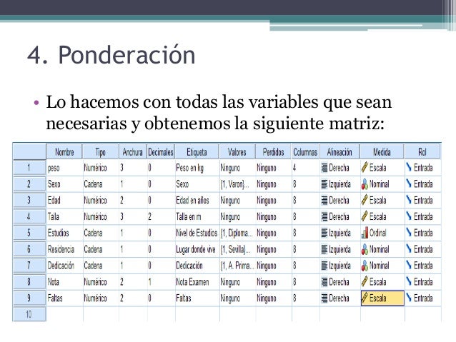 Construcción de una matriz de datos en pasw
