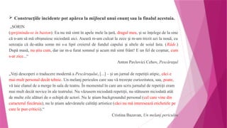 CONSTRUCȚIILE INCIDENTE.LIMBA ROMANApptx | PPT