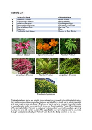 Constructed landscape final project (final) | DOCX