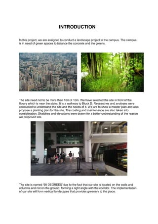 Constructed landscape final project (final) | DOCX