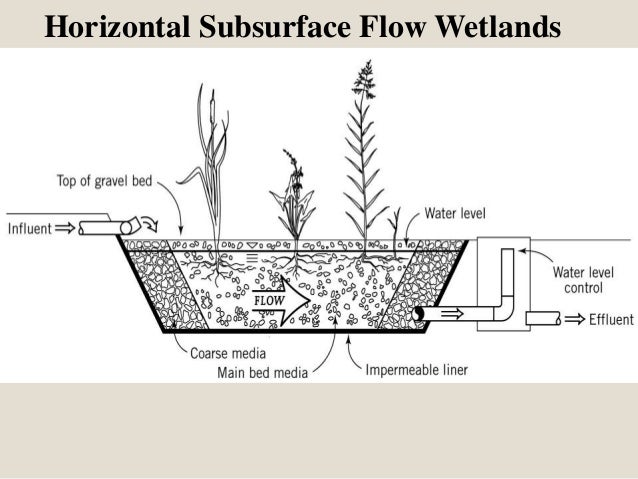 Constructed wetland