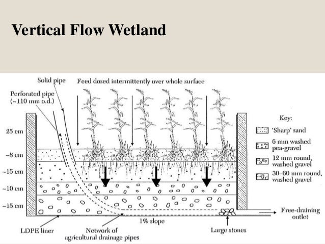 Constructed wetland