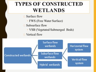 Types Of Constructed Wetlands