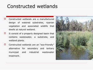 chapter 5 Constructed wetland for ww.ppt