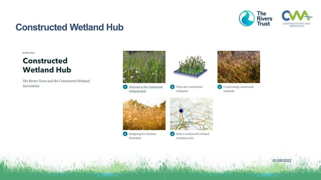 Constructed Wetland Guidance & Hub | PPT