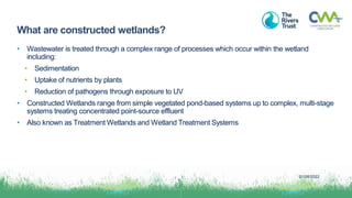 Constructed Wetland Guidance & Hub | PPT