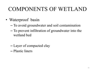 Constructed wetland management | PPTX