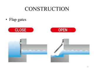 Constructed wetland management | PPTX