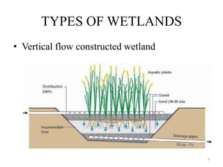 Constructed wetland management | PPTX