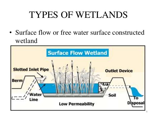 Constructed wetland management