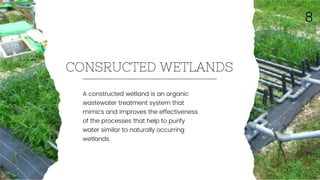 constructed wetlands-1.pdf