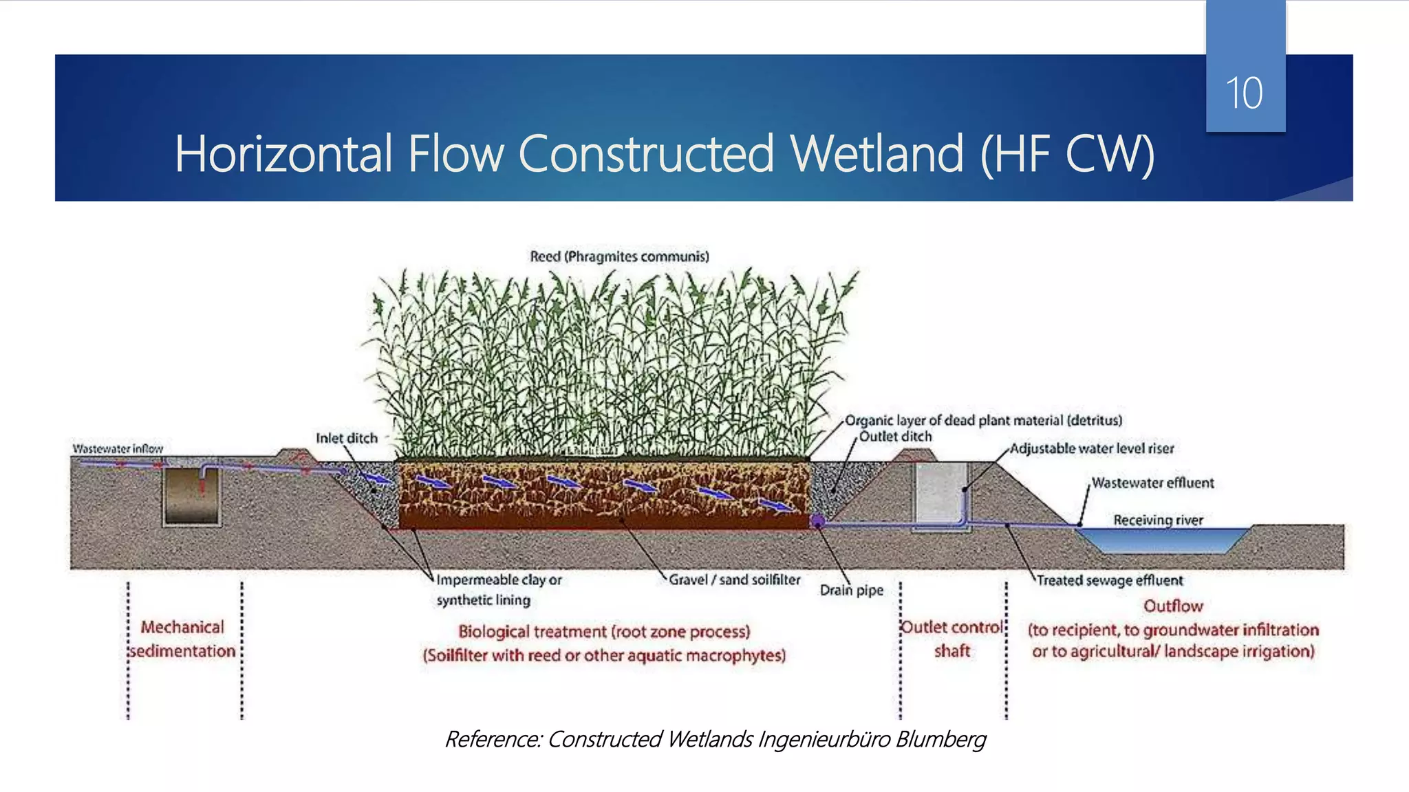 Constructed Wetlands | PPTX