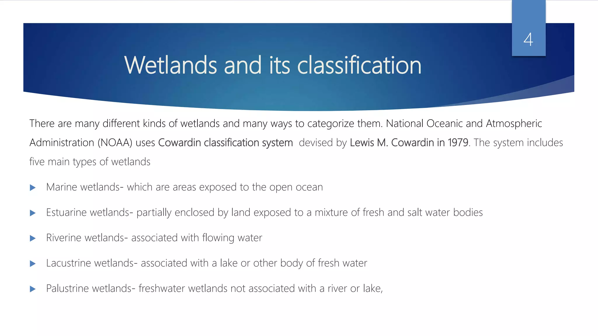 Constructed Wetlands | PPTX