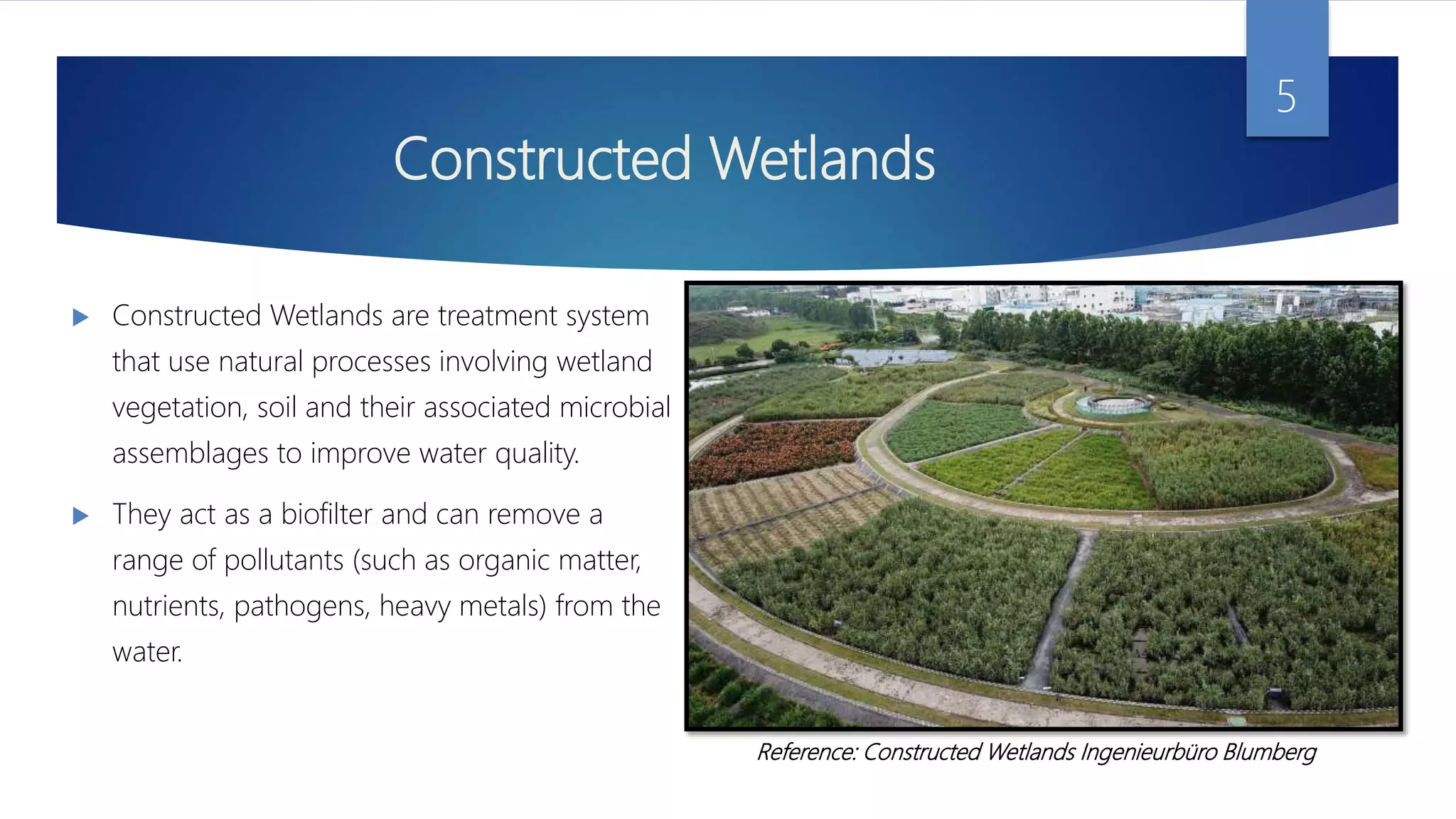Constructed Wetlands | PPTX