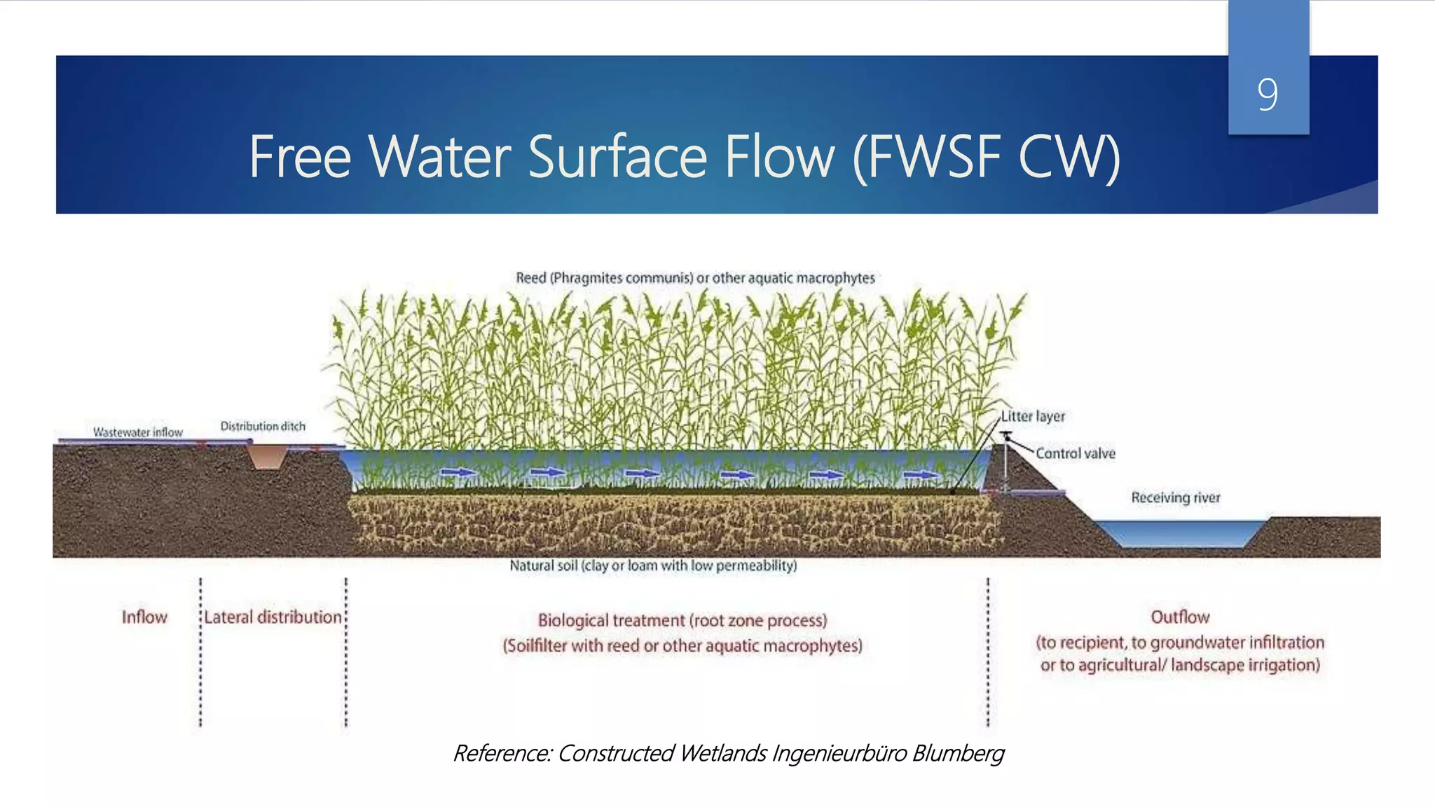 Constructed Wetlands | PPTX