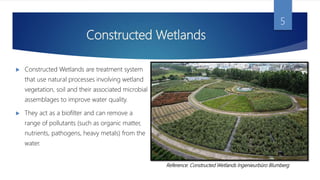 Constructed Wetlands | PPTX