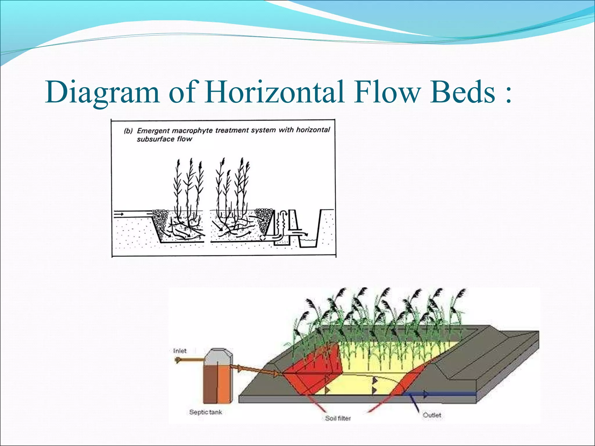 Constructed wetlands 2 | PPT