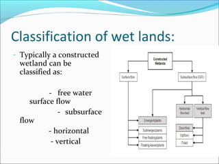 Constructed wetlands 2 | PPT