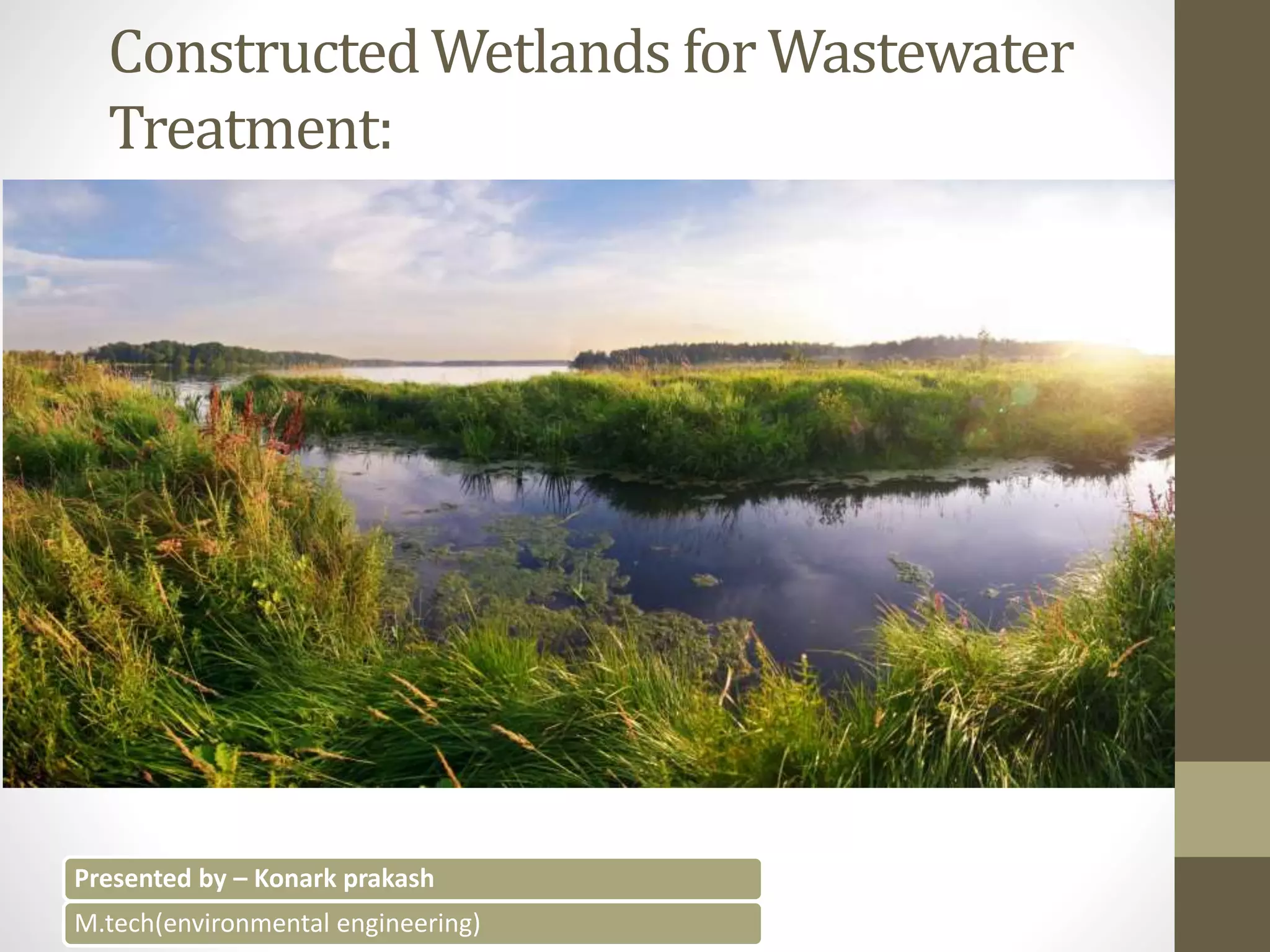 Constructed wetlands for wastewater treatment | PPTX