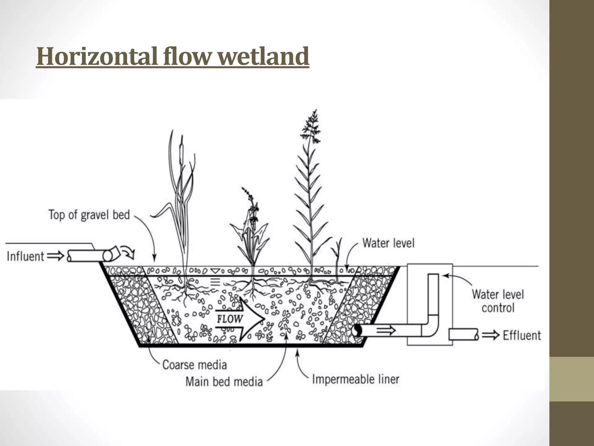 Constructed wetlands for wastewater treatment | PPTX