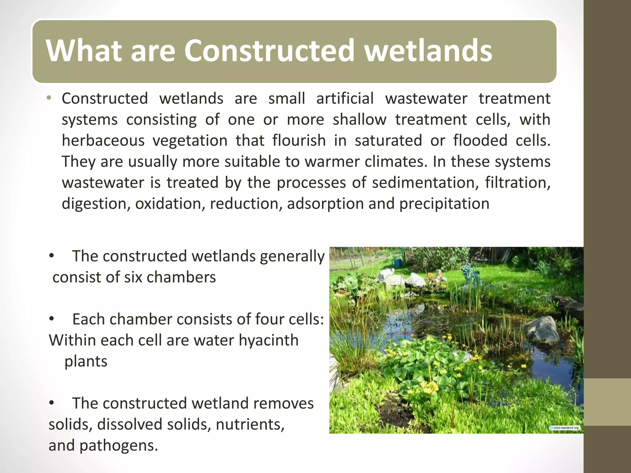 Constructed wetlands for wastewater treatment | PPTX