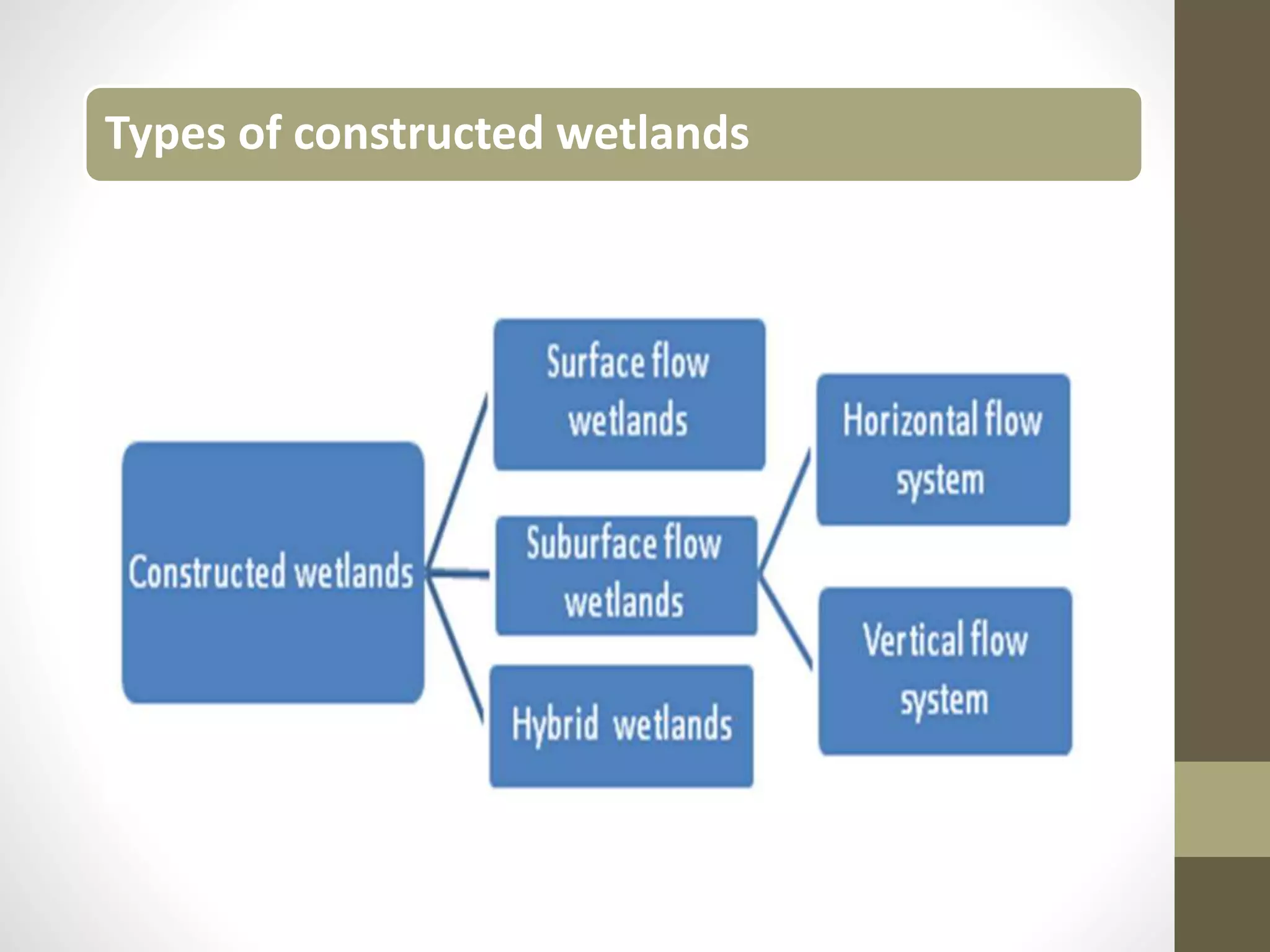 Constructed wetlands for wastewater treatment | PPTX