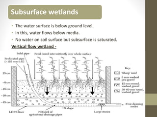 Constructed wetlands for wastewater treatment | PPTX