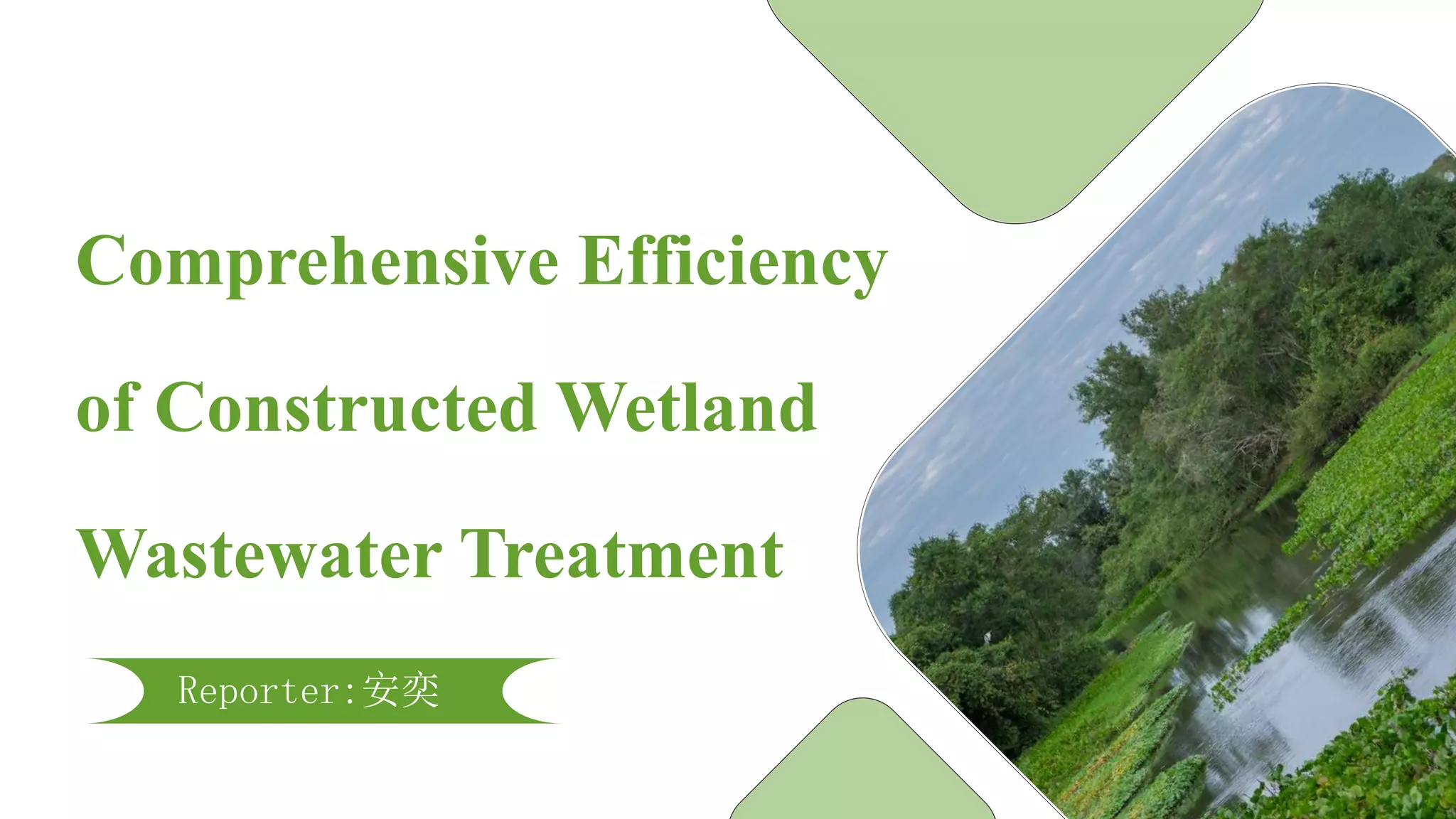 Constructed wetlands for wastewater treatment.pptx