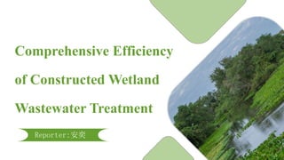 Constructed wetlands for wastewater treatment.pptx