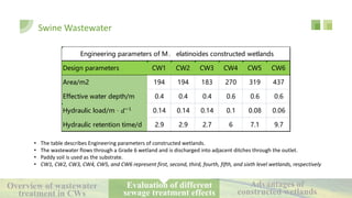 Constructed wetlands for wastewater treatment.pptx